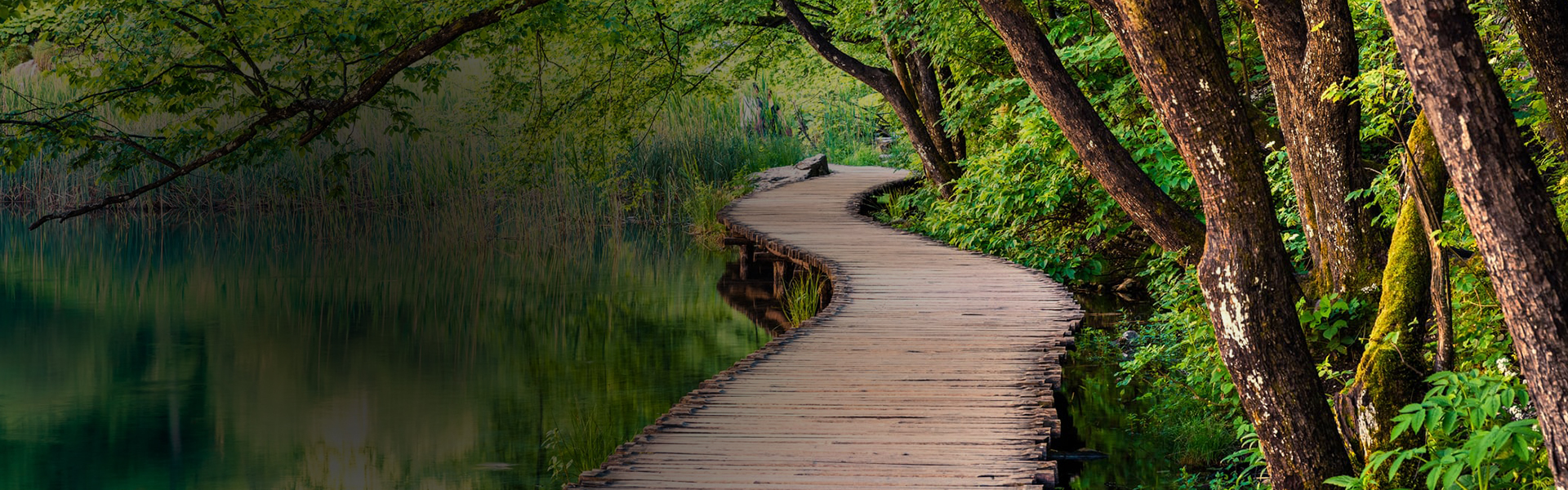 Mind Center for Individuals with Disabilities (MCID)